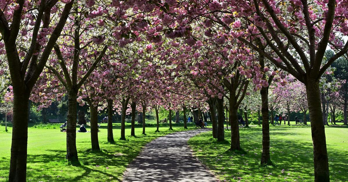 Spring Experience - Brooks Hotel Dublin